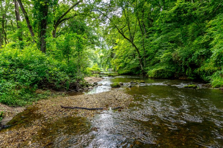 The Best State Parks in Iowa
